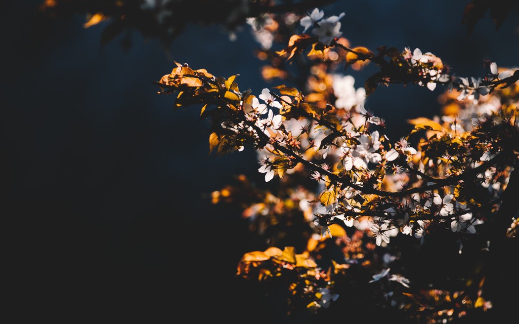 Spring Boot 2 With JUnit 5 And Mockito 2 For Unit Integration Testing