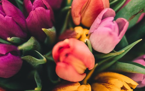 Create And Publish Your Rest Api Using Spring Boot And