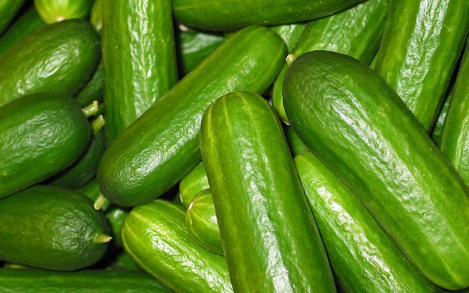 A Guide To Cucumber Best Practices DZone