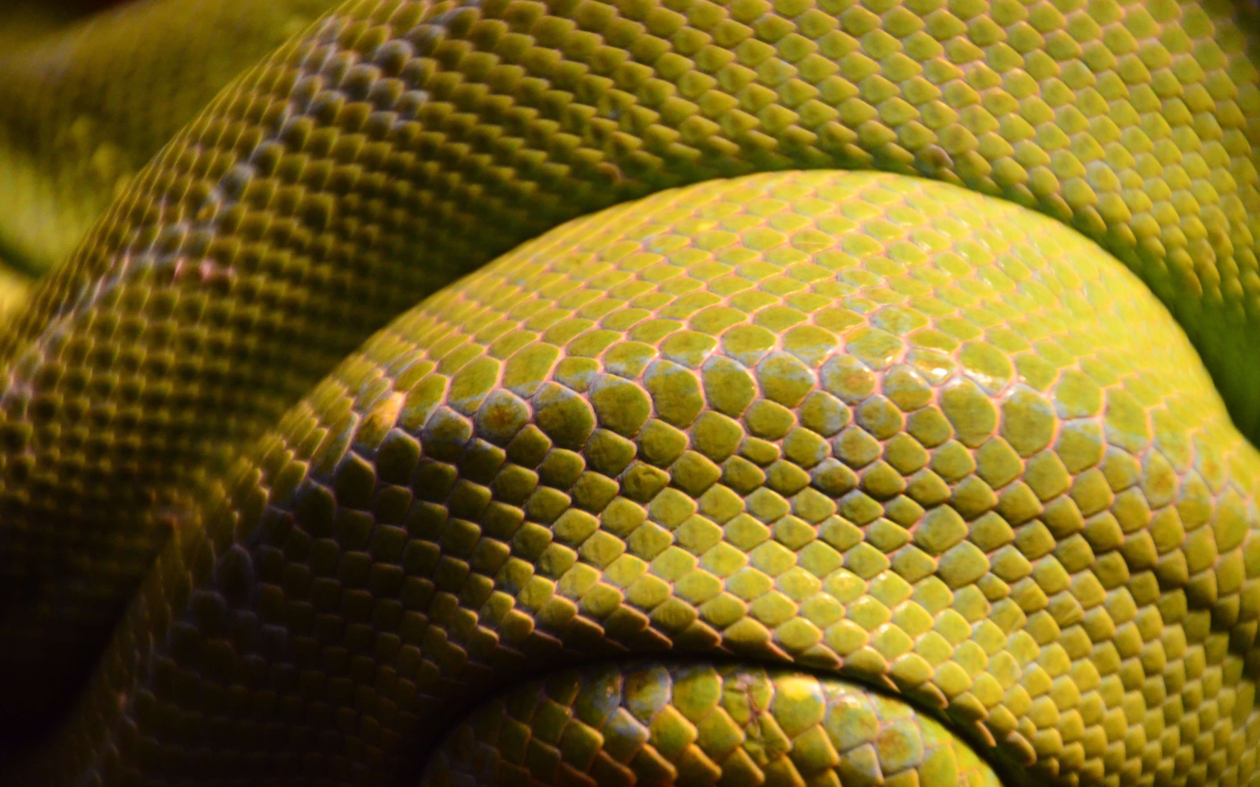 How To Write ETL Operations In Python DZone