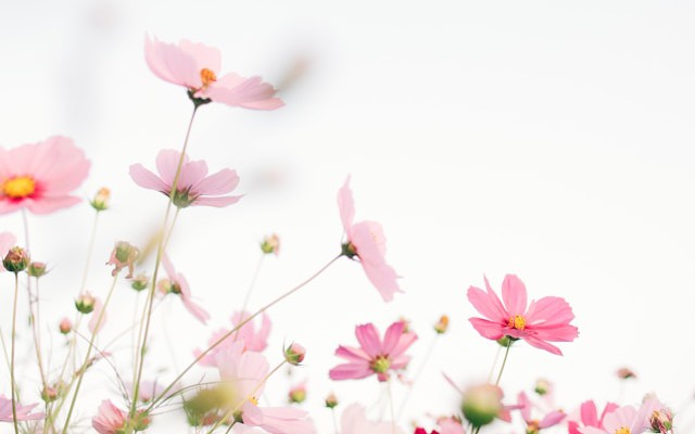 Caching Mechanisms Using Spring Boot With Redis, ElastiCache