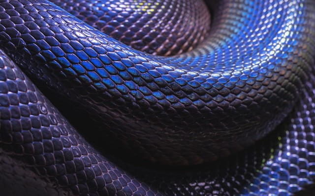 Python Development With Asynchronous SQLite and PostgreSQL