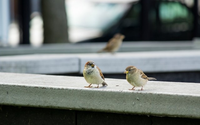 Analysis of Async Communication in Microservices