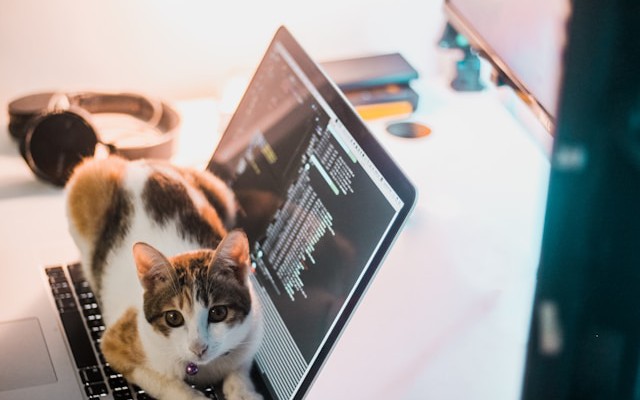 AI-Assisted Software Engineering With OOPS, SOLID Principles