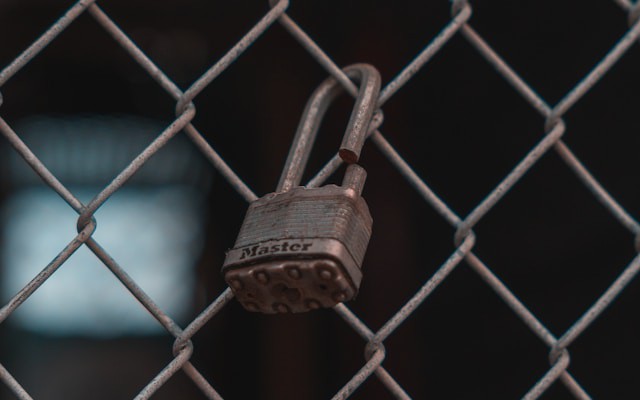 How Google Project Zero and FFmpeg Went Viral