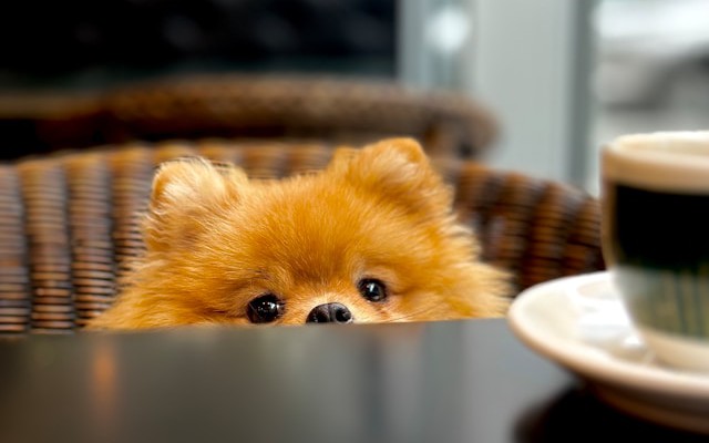 Test POST Requests With REST Assured Java for API Testing