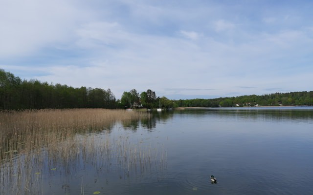 Solving Real-Time Event Correlation in Distributed Systems