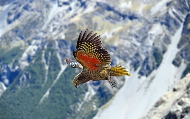 Apache Phoenix With Variable-Length Encoded Data