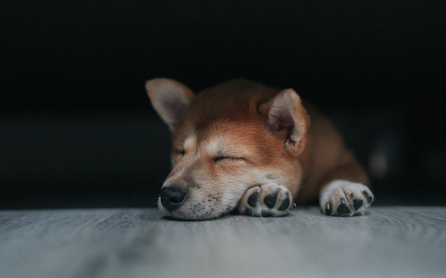 Test POST Requests With Rest-Assured Java for API Testing II