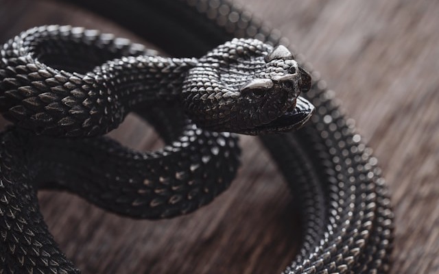 Breaking Vendor Lock-In with Pure Python Network Automation