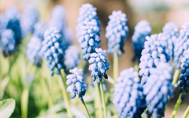 Spring Data MongoDB With Reactive MongoDB DZone Database