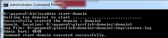 Running a Spring Boot Application Under Payara Server Using a Payara Data Source