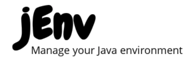 Considerations On Updating Enterprise Java Projects From Java 8 To 11