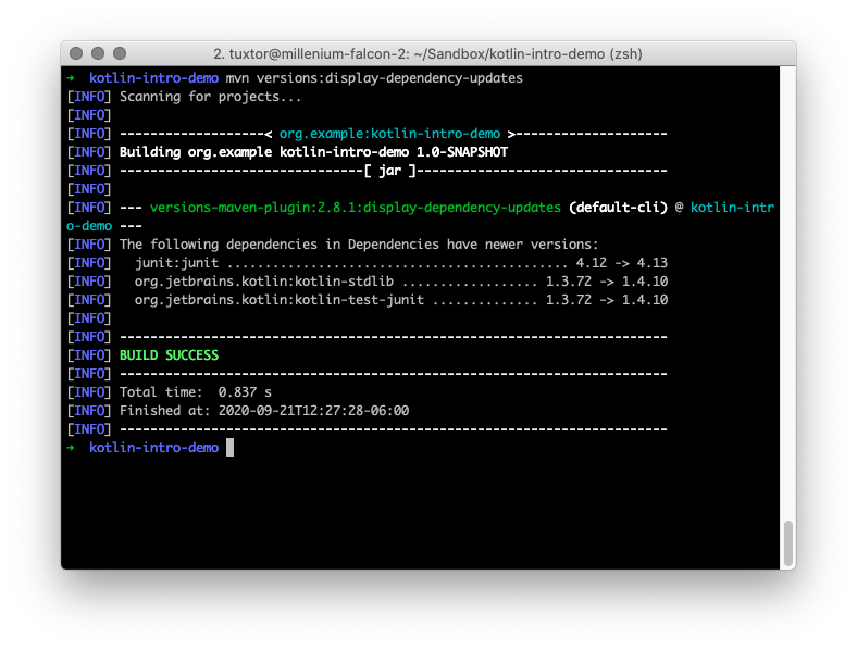 Considerations On Updating Enterprise Java Projects From Java 8 To 11