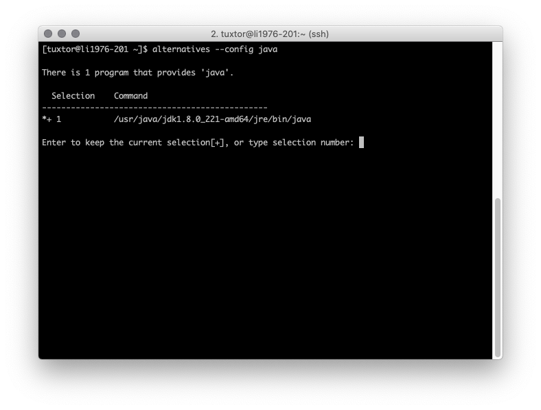 Considerations on Updating Enterprise Java Projects From Java 8 to 11