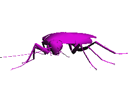 3D Model Interaction with Java 3D