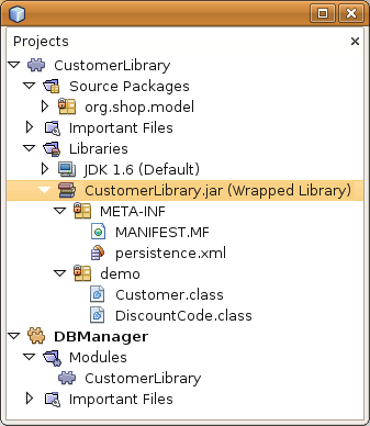 How to Create a Swing CRUD Application on NetBeans Platform 6.8