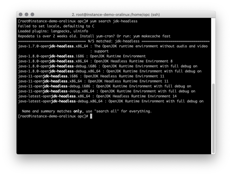 Considerations on Updating Enterprise Java Projects From Java 8 to 11