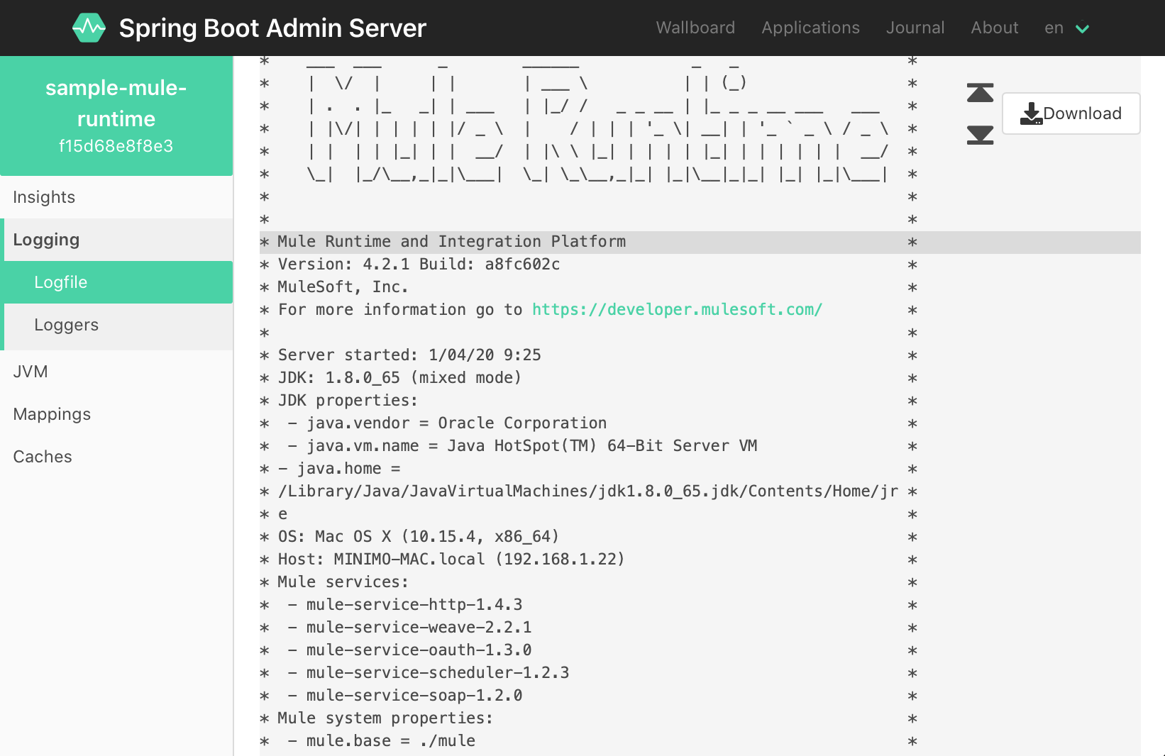 Embed Mule 4 Runtime Into a Spring Boot Application
