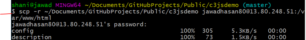 Using Nginx To Serve Net Core Nodejs Or Static Contents 