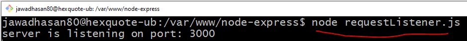 Using Nginx To Serve Net Core Nodejs Or Static Contents 