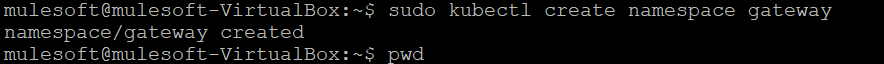 Install And Configure Mulesoft Flex Gateway In Kubernetes Cluster With K3d 0011