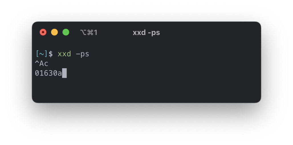 Stow: Alacritty - DZone