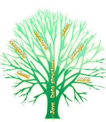 T-Shape Engineer, An Introduction