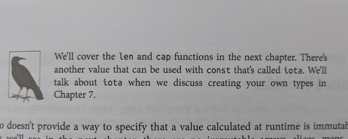 Book Review: Learning Go by Jon Bodner