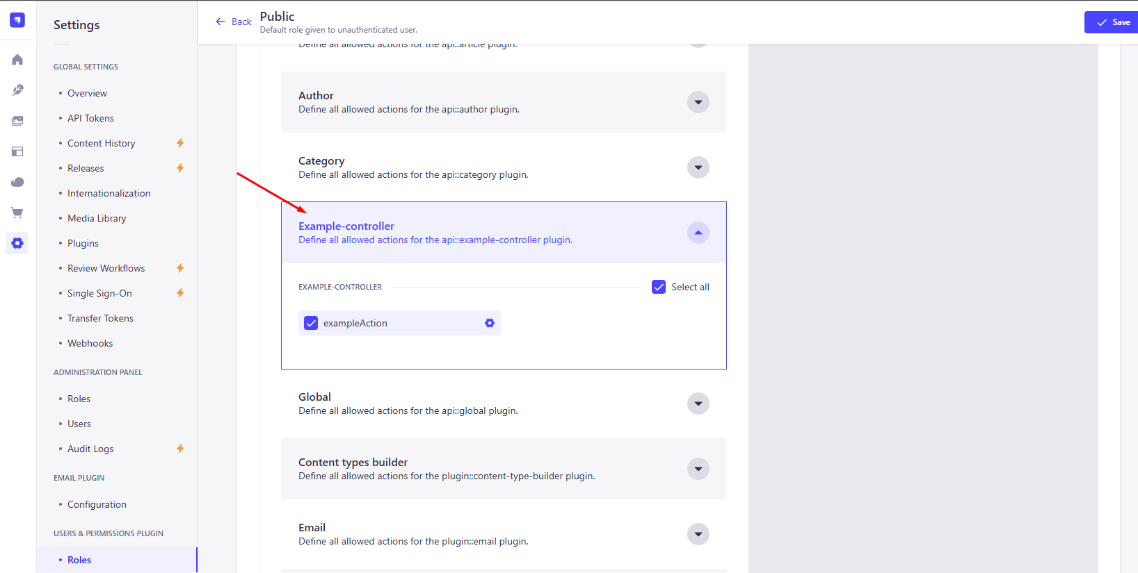 Strapi v5: Customization Nuances