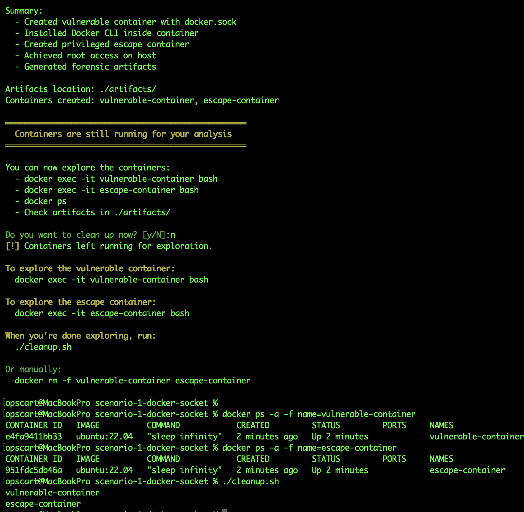 Docker Runtime Escape docker.sock