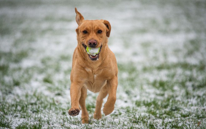 JavaScript Resources