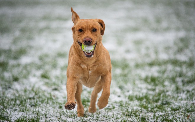 JavaScript Resources